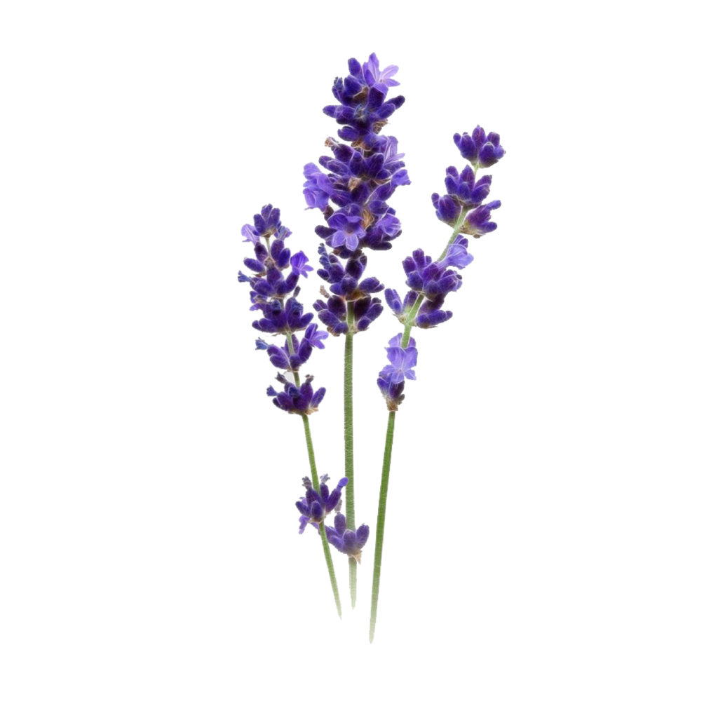 Thèmes d'Anniversaire Archives • Boutique Fêtes vous même